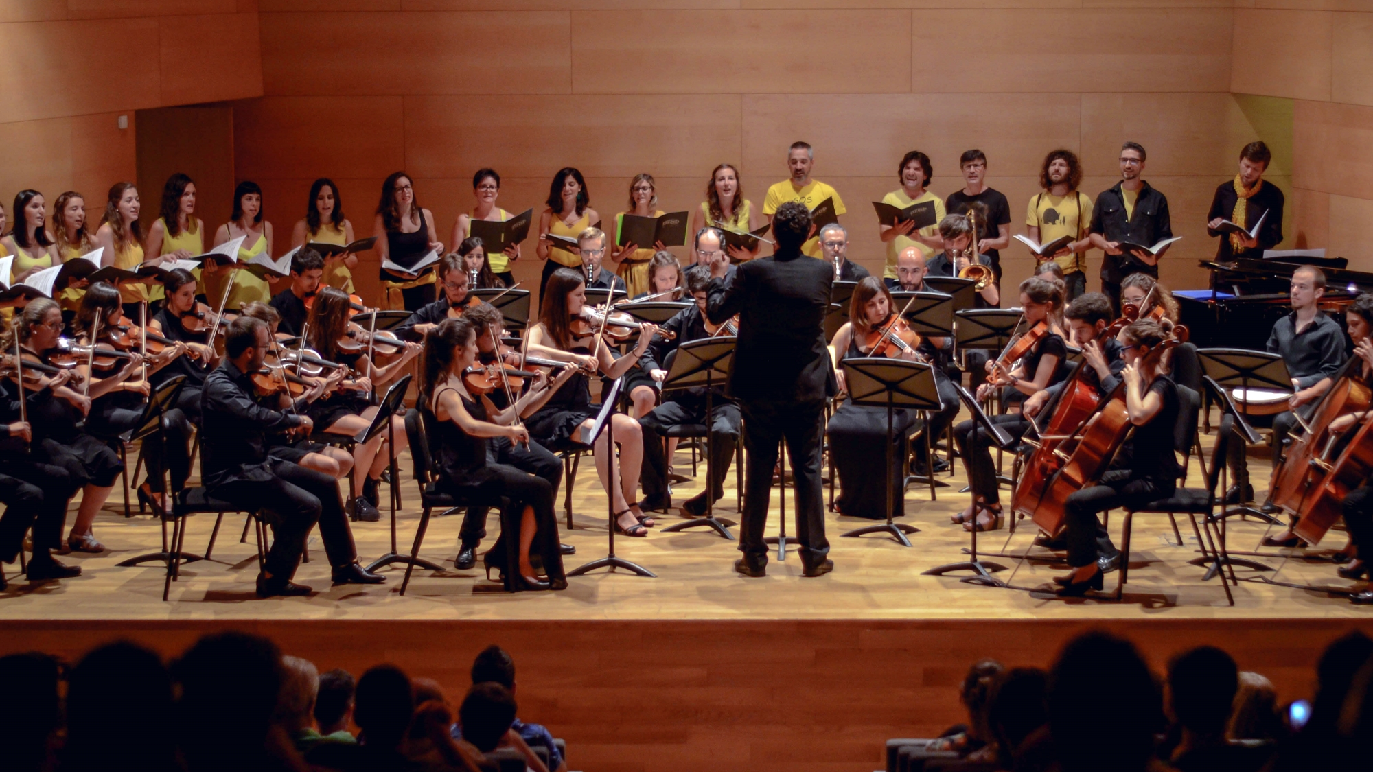 Collaborative concert: “Bizet meets The Lion King” - El·lipse