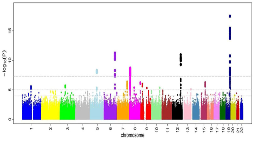 ¿Que son los estudios de asociación del genoma (GWAS)? - El·lipse