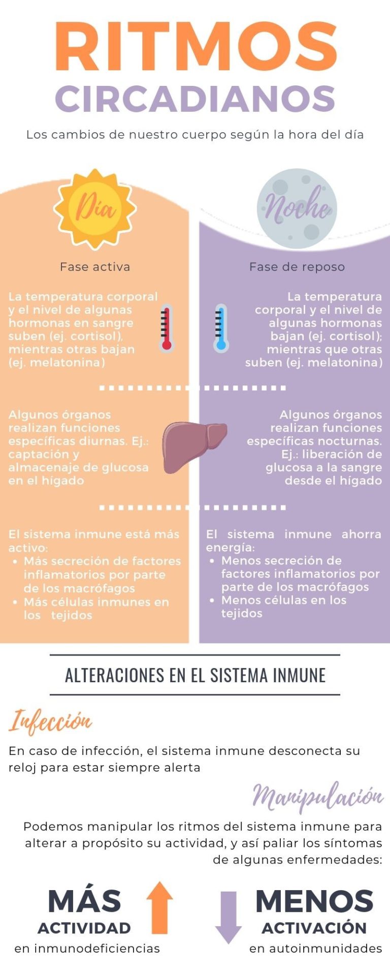 Bailando al ritmo circadiano - El·lipse