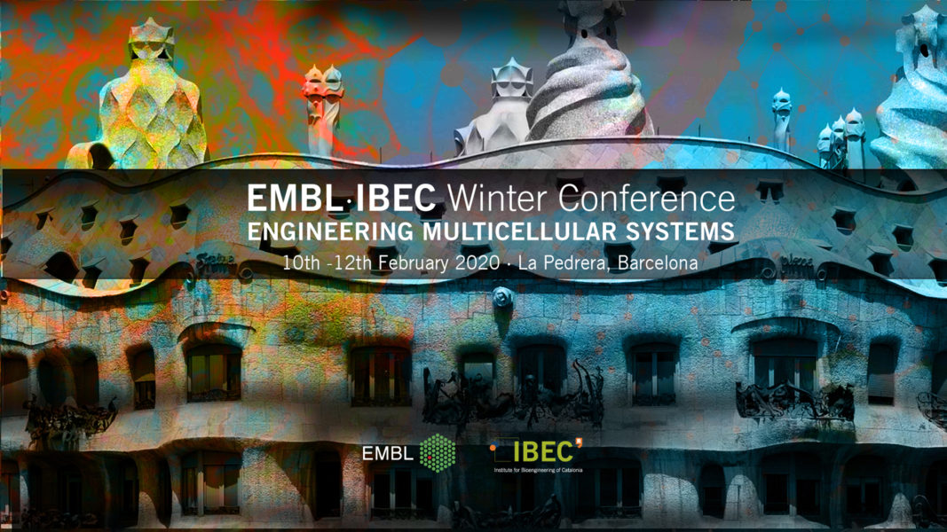 EMBL Barcelona co-organizes a Conference on Engineering in ...