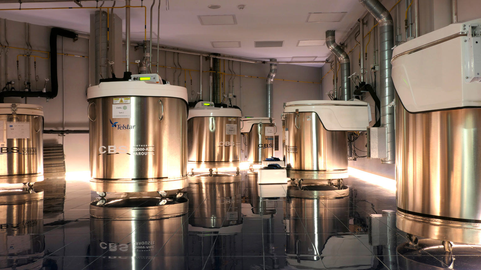 Una nueva y deslumbrante sala de criogenia - El·lipse