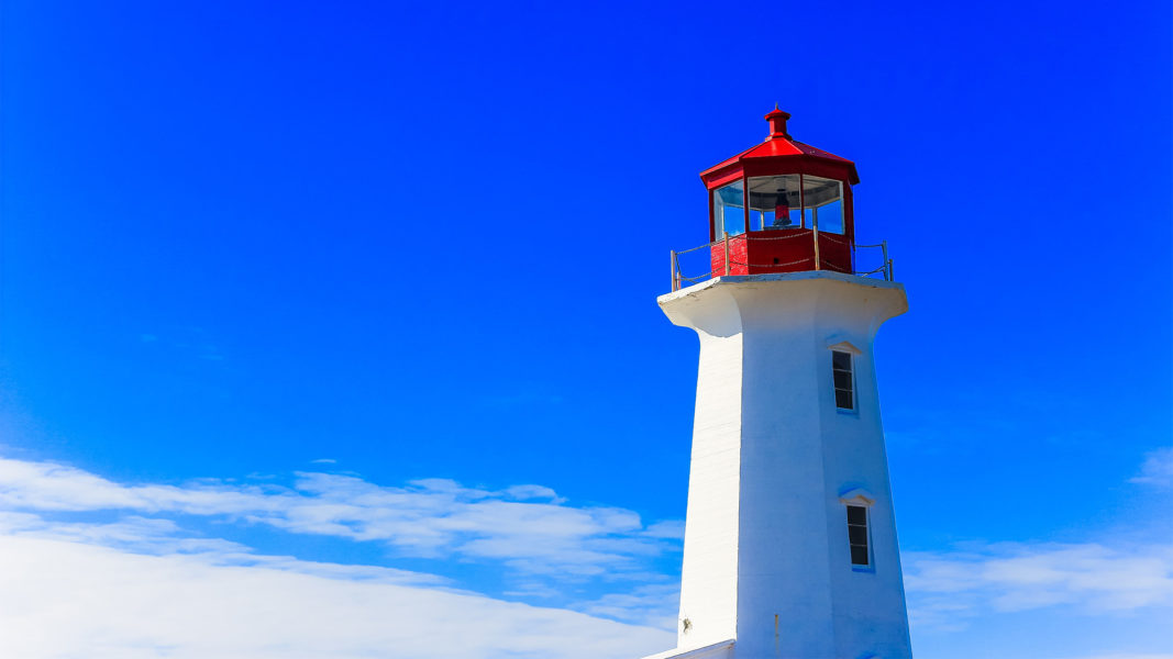 A beacon in the ocean of SARS-CoV-2 data - El·lipse