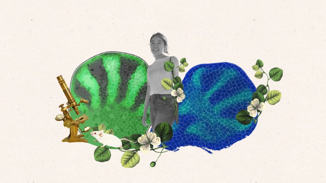 Células madre: generación y regeneración - El·lipse