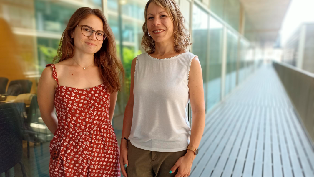 PROMES-U, un proyecto para mejorar la salud mental de los y las ...