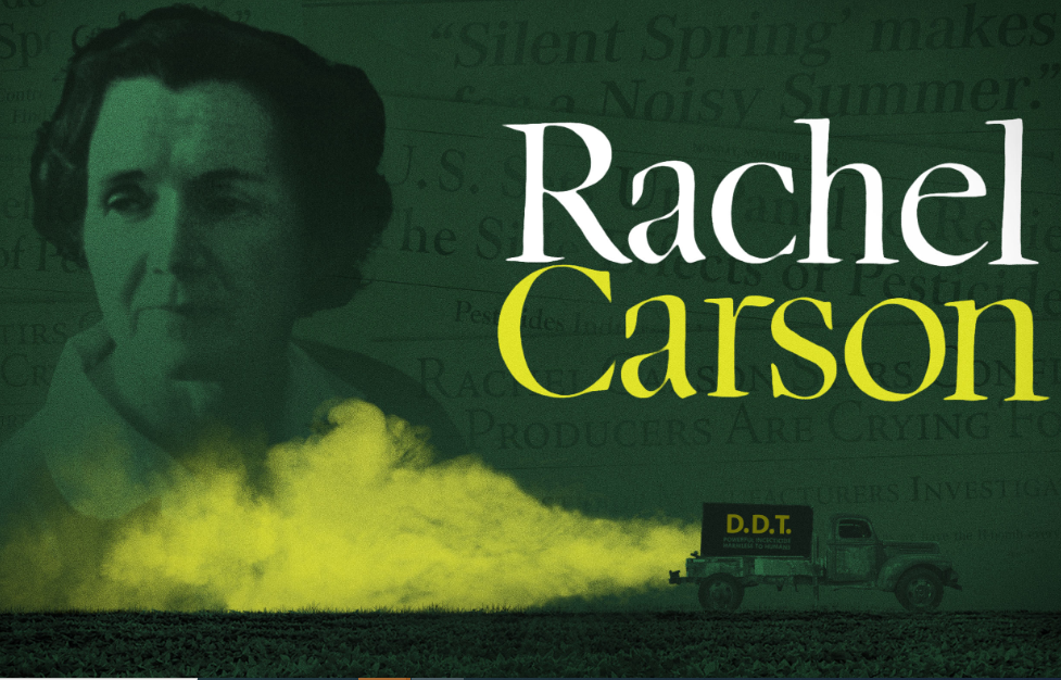 Celebrating LGTBIQA+ scientists... with cinema - El·lipse