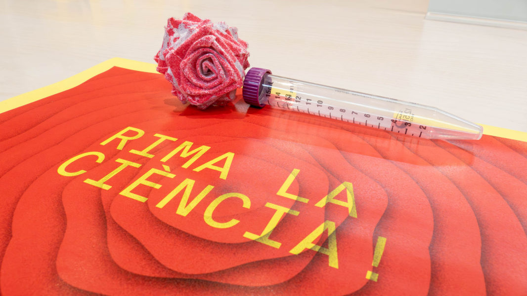 Cultivando células para la investigación - El·lipse