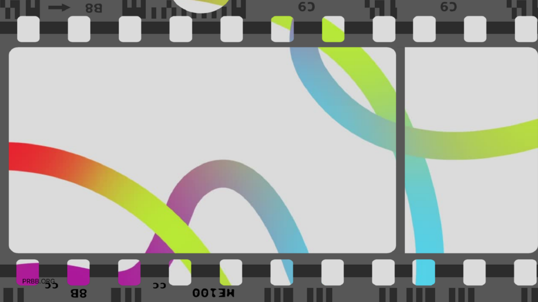 A look back at the PRBB in 2019 - El·lipse