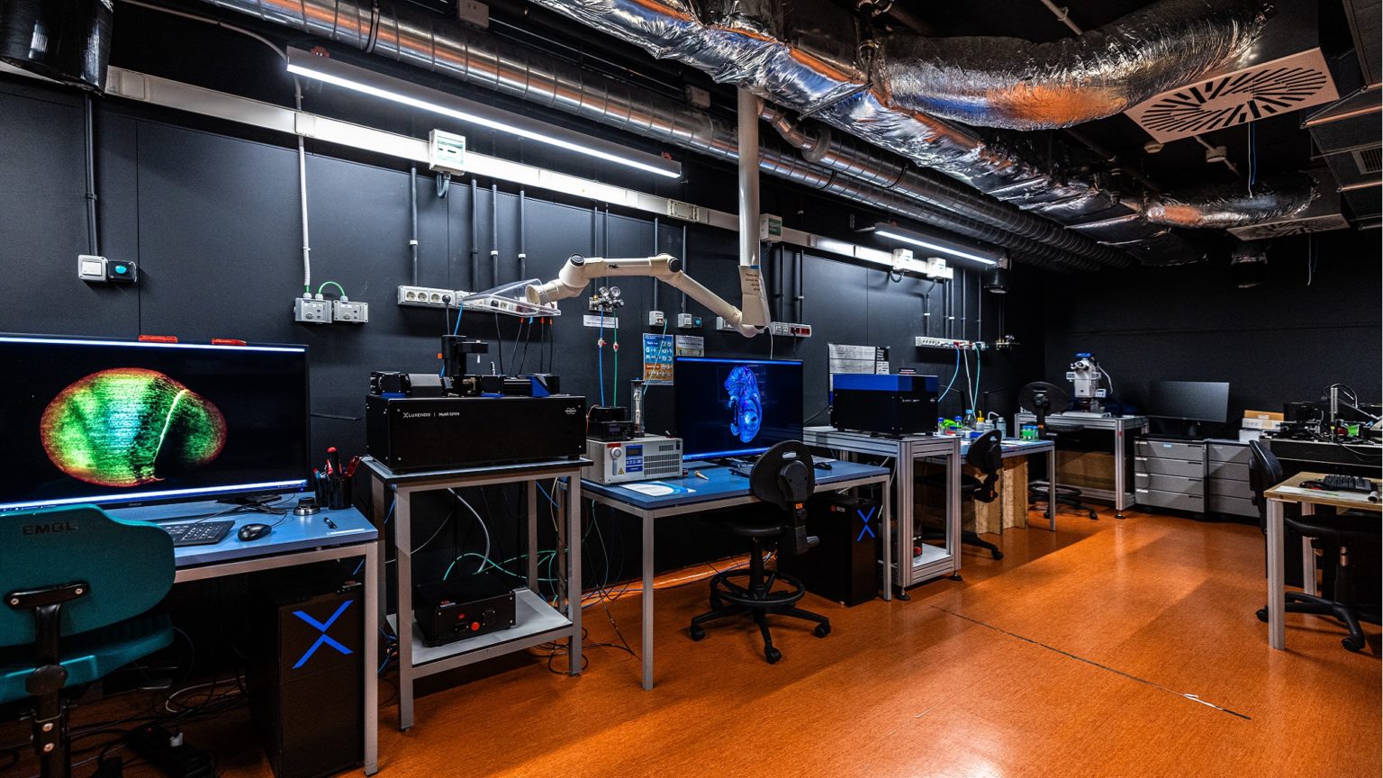 The Mesoscopic Imaging Facility (MIF) - El·lipse